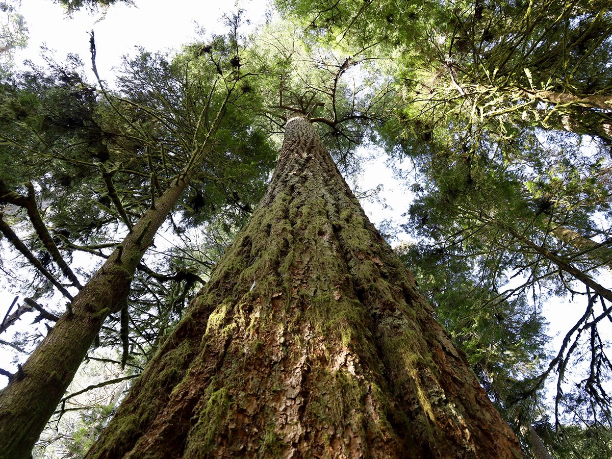 Canada’s Most Awe-Inspiring Natural Wonders