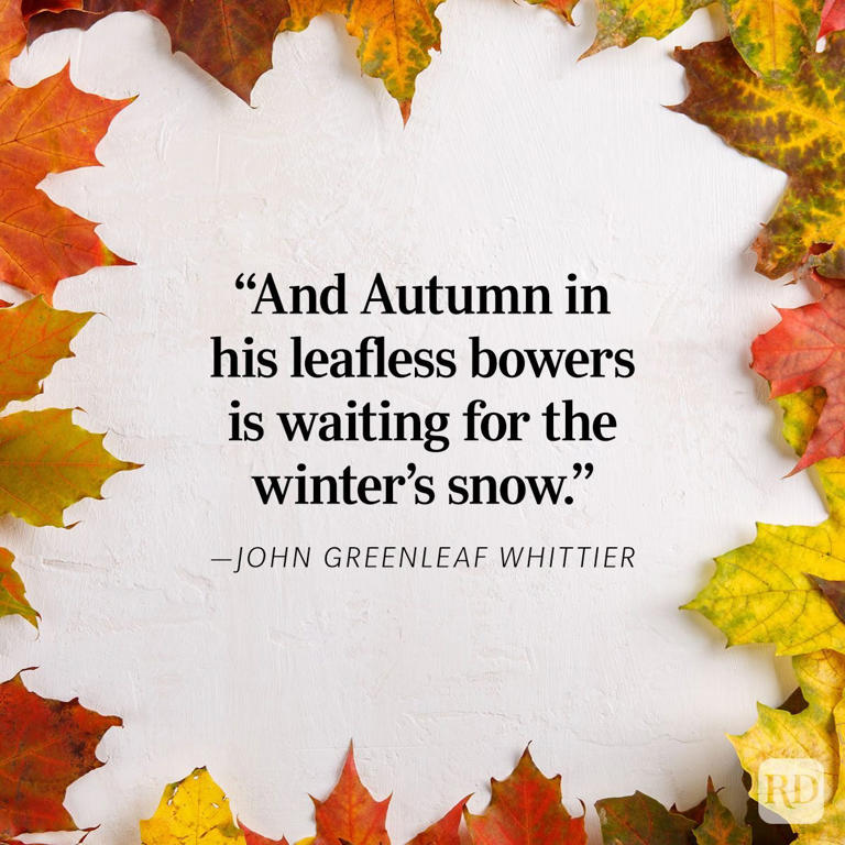 75 Colorful Fall Quotes That Capture Autumn’s Beauty