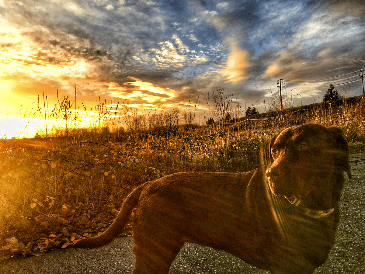 30+ stunning sunset pictures that will take your breath away
