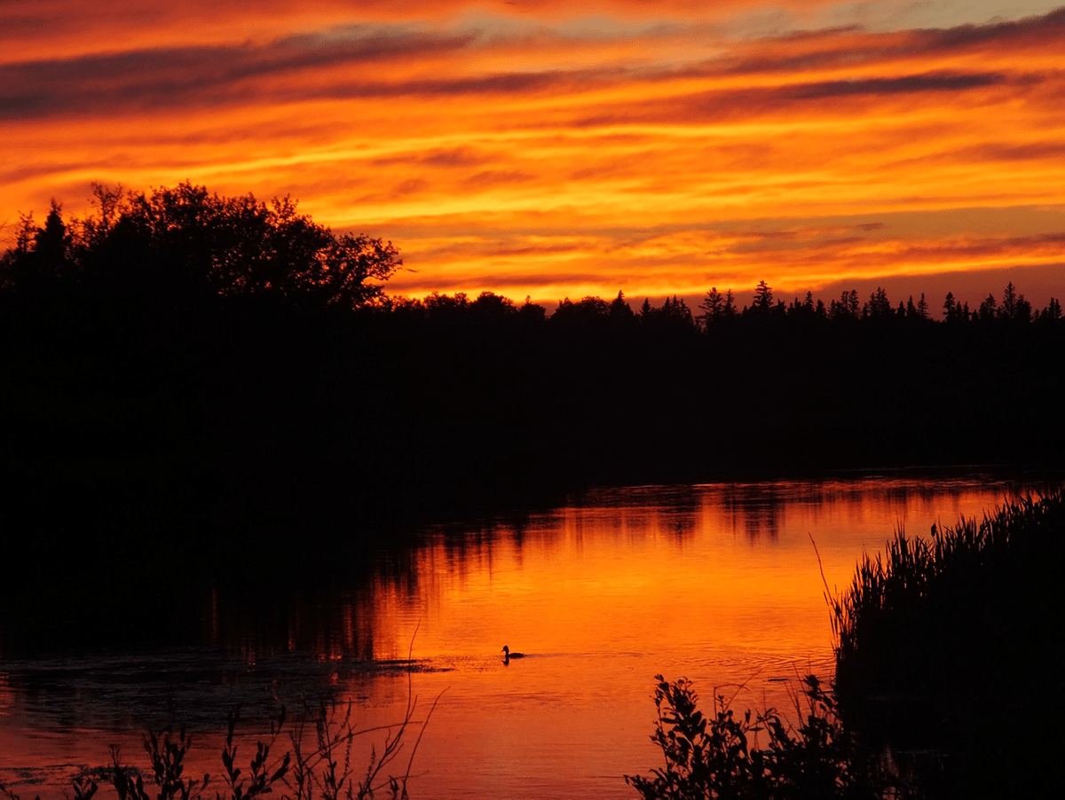 30+ stunning sunset pictures that will take your breath away