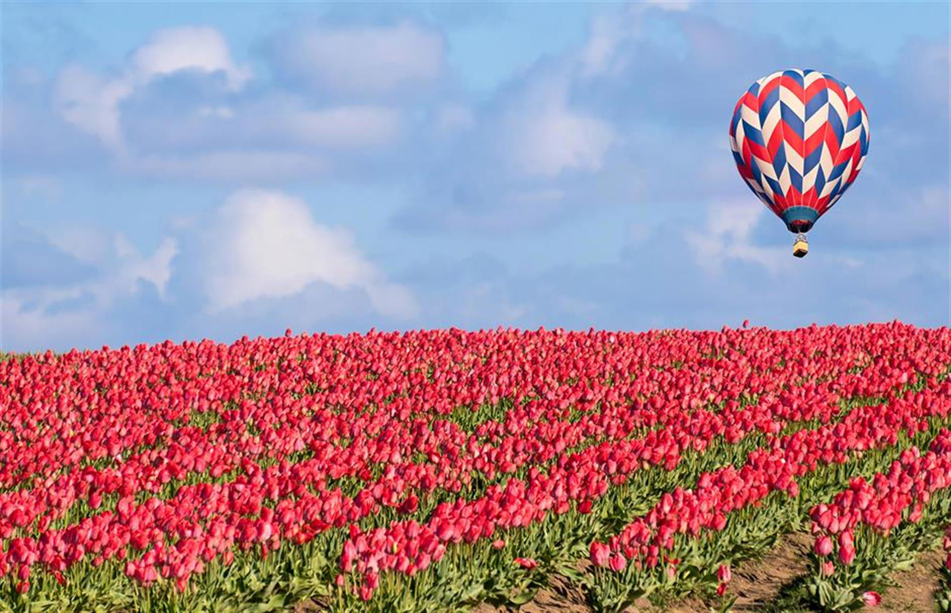 The world's best hot air balloon rides with incredible views The world's best hot air balloon rides with incredible views