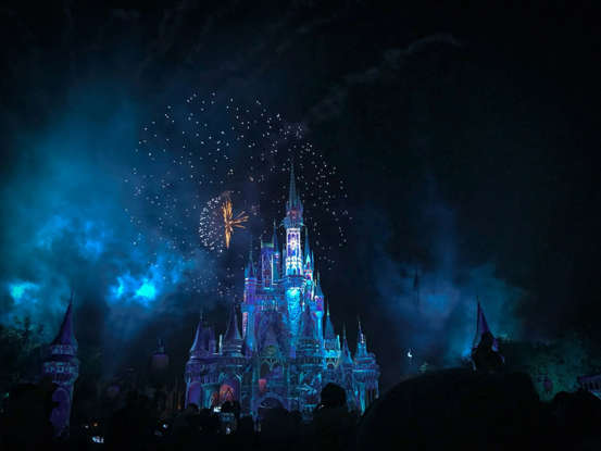 55 Essential Disney World Tips, Tricks, and Dad Hacks 55 Essential Disney World Tips, Tricks, and Dad Hacks