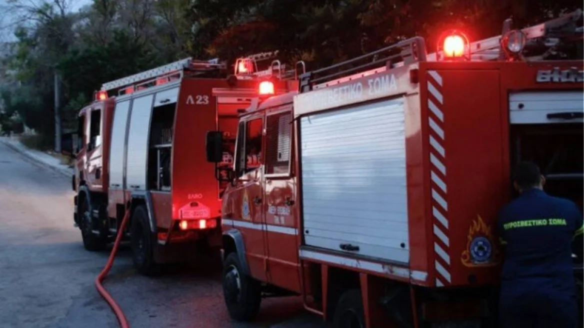 ΒΙ.ΠΕ. Βελεστίνου: Η φωτιά τέθηκε υπό έλεγχο
