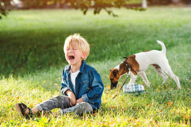 A parent's guide to raising emotionally intelligent children A parent's guide to raising emotionally intelligent children