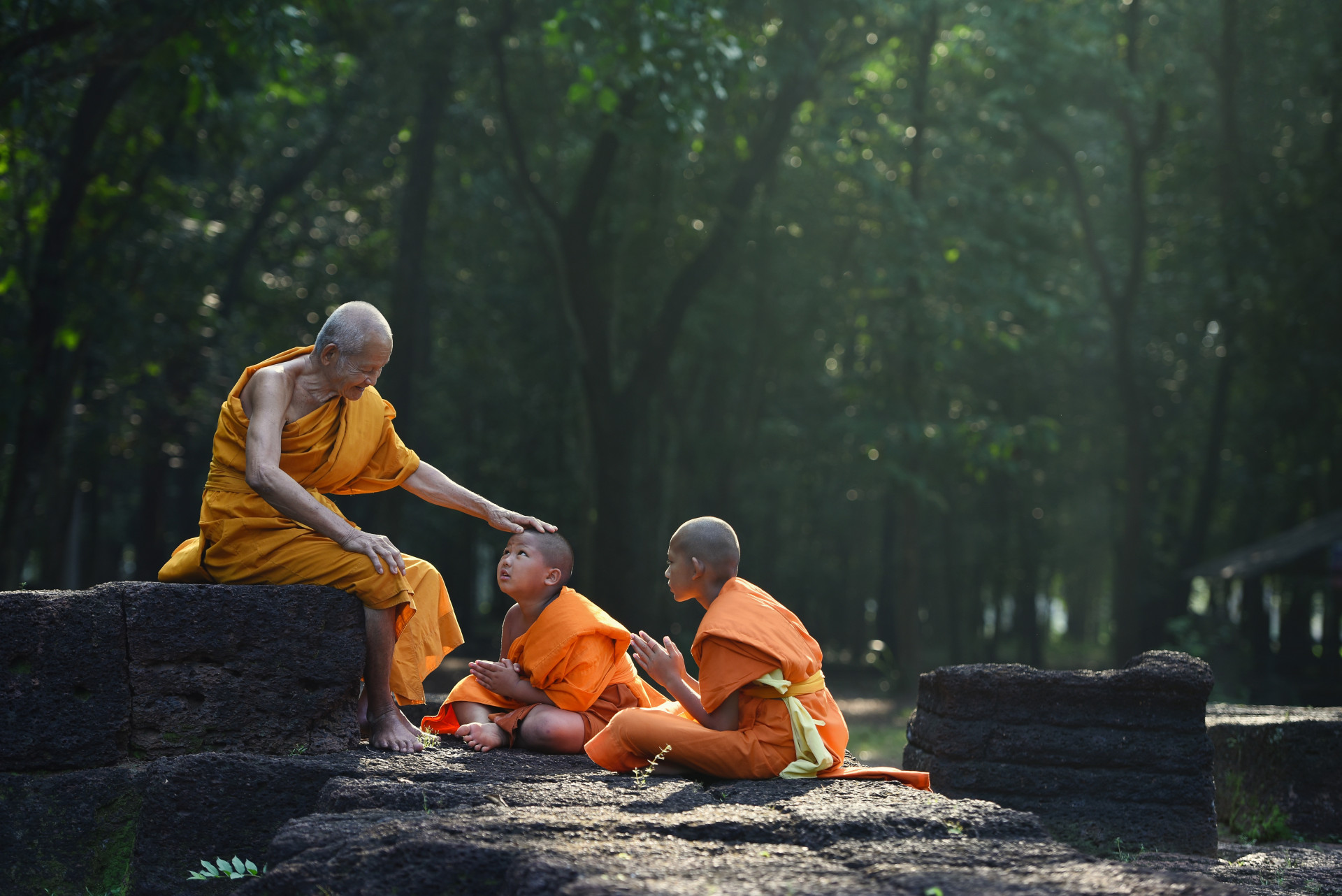 Everything you've always wanted to know about Buddhism