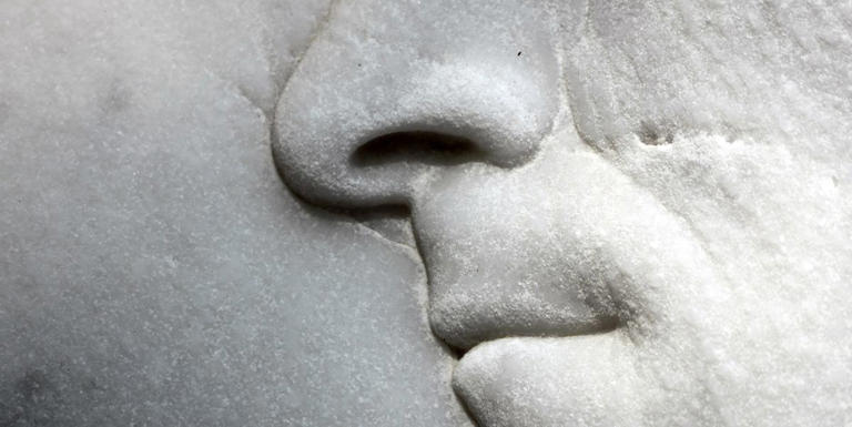 Firefighters Went on a Routine Patrol—and Stumbled Upon a Breathtaking ...