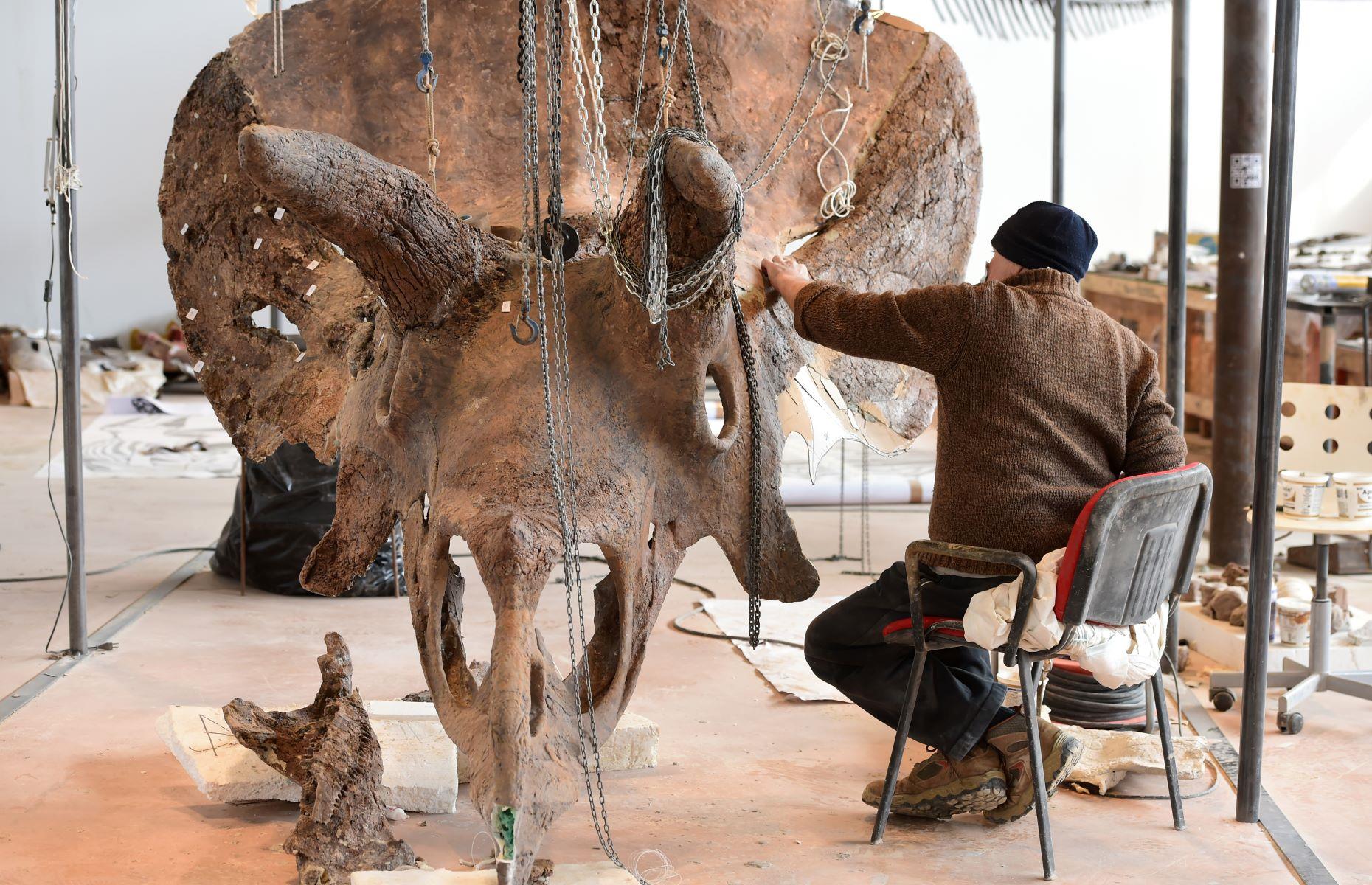 The 12 most expensive dinosaur fossils of all time
