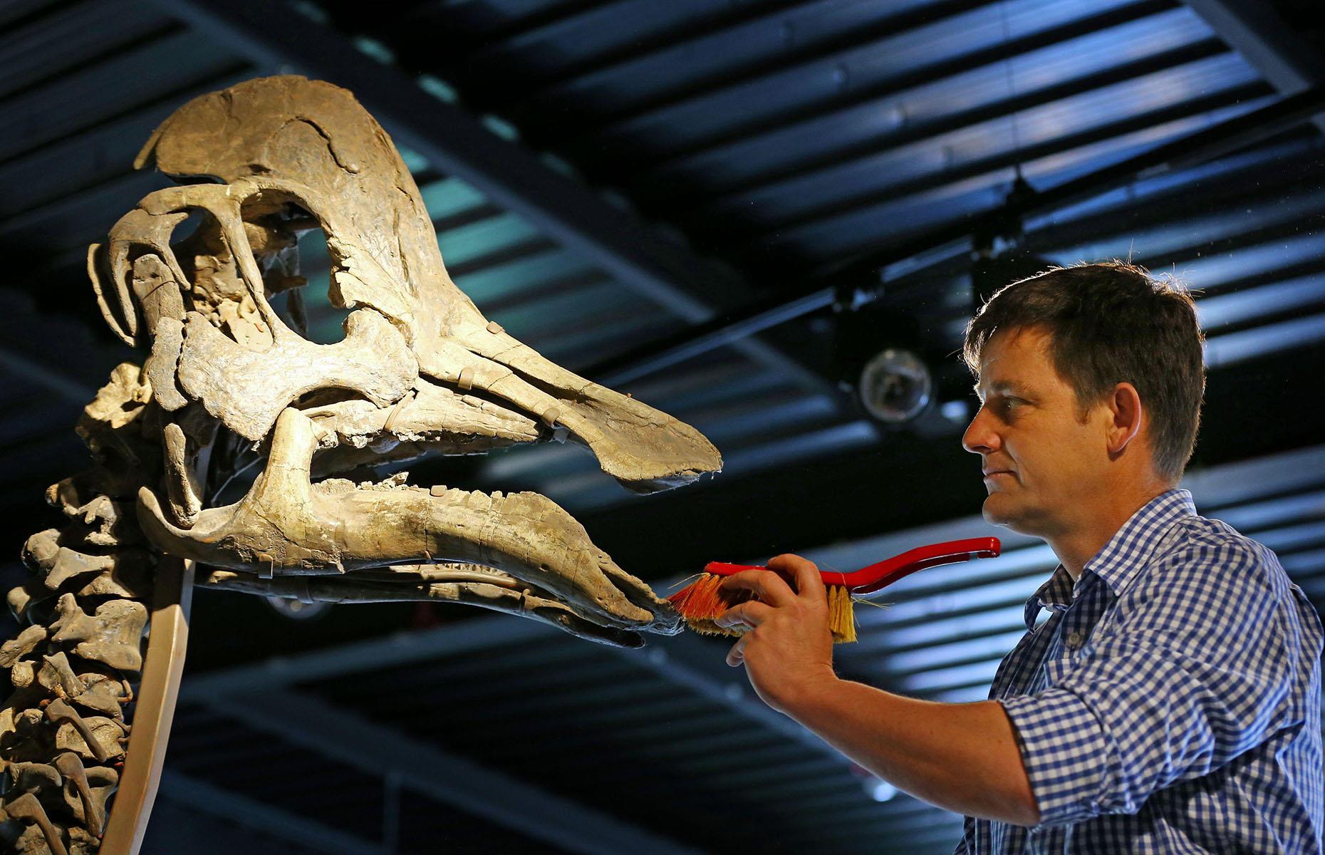 The 12 most valuable dinosaur fossils that sold for shocking sums