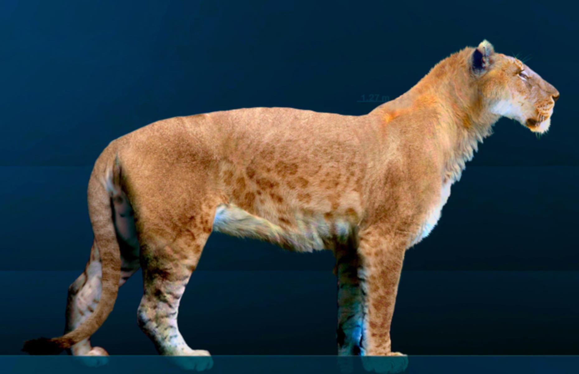 33 magnificent animals that disappeared from the planet