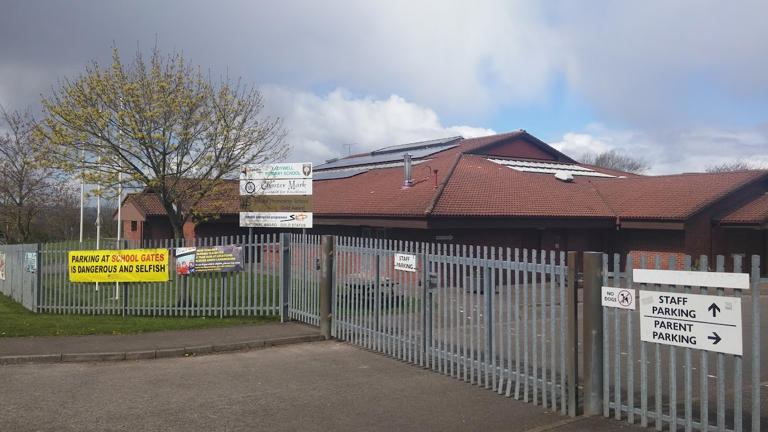 Motherwell Primary Schools League Tables 2025: All primary schools in ...