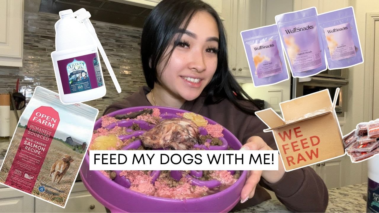 Happy mealtime with all our dogs together