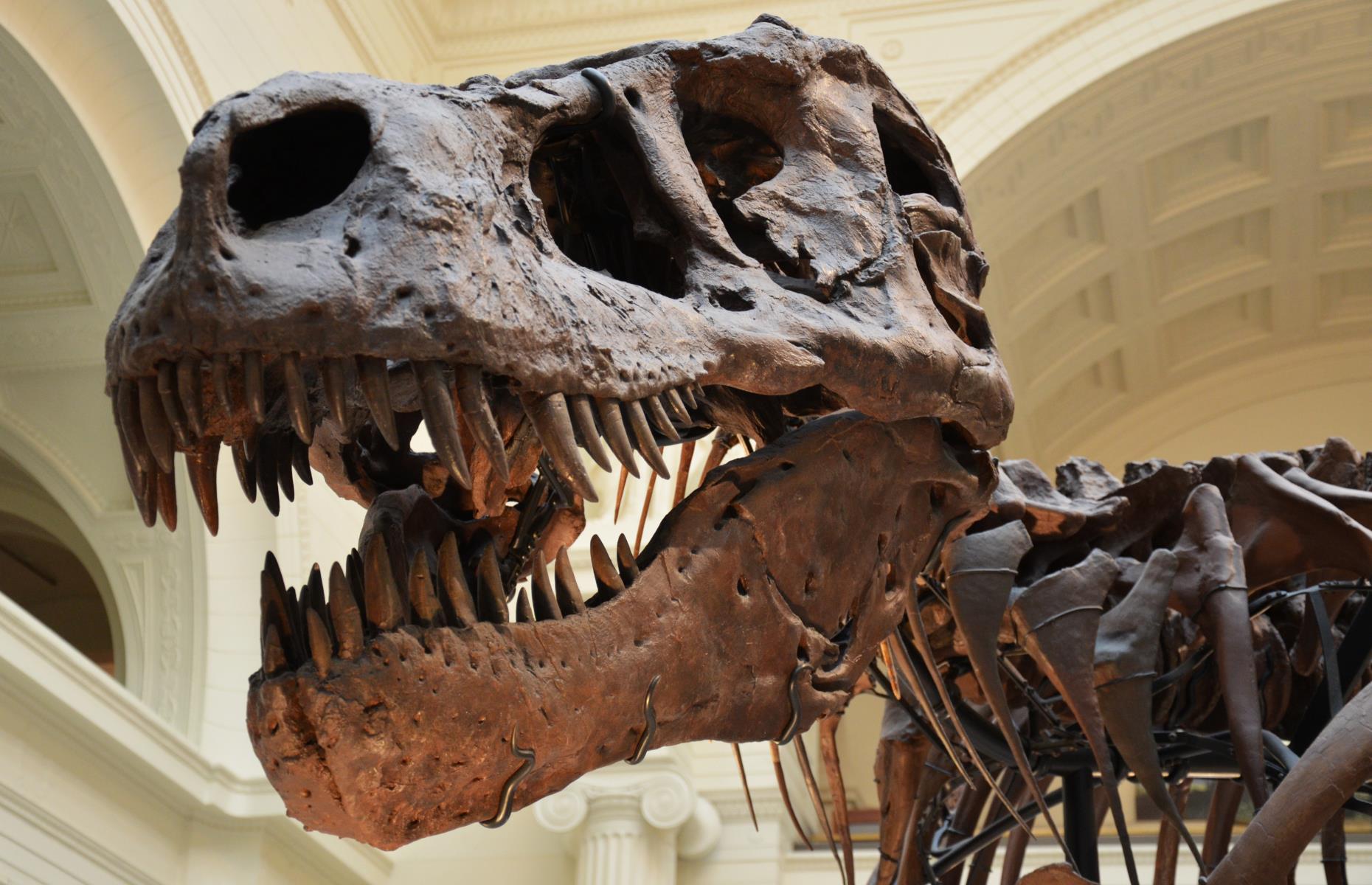 40 Incredible Extinct Creatures That Once Ruled Our Planet