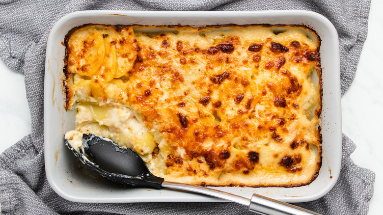 10 Comforting Cheesy Potato Recipes