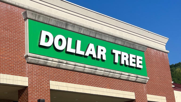 7 Best Spring Decor Items To Buy at Dollar Tree
