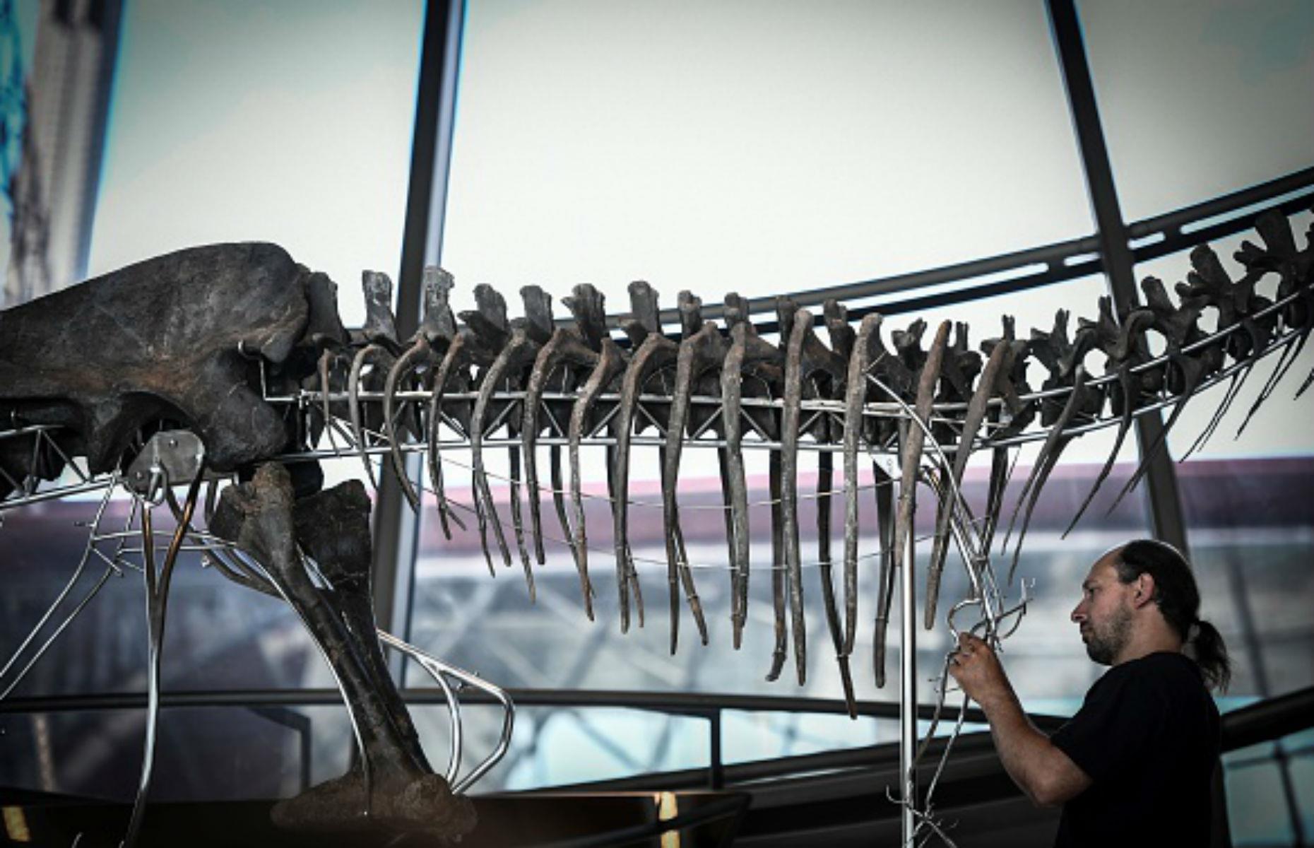 The 12 most expensive dinosaur fossils of all time