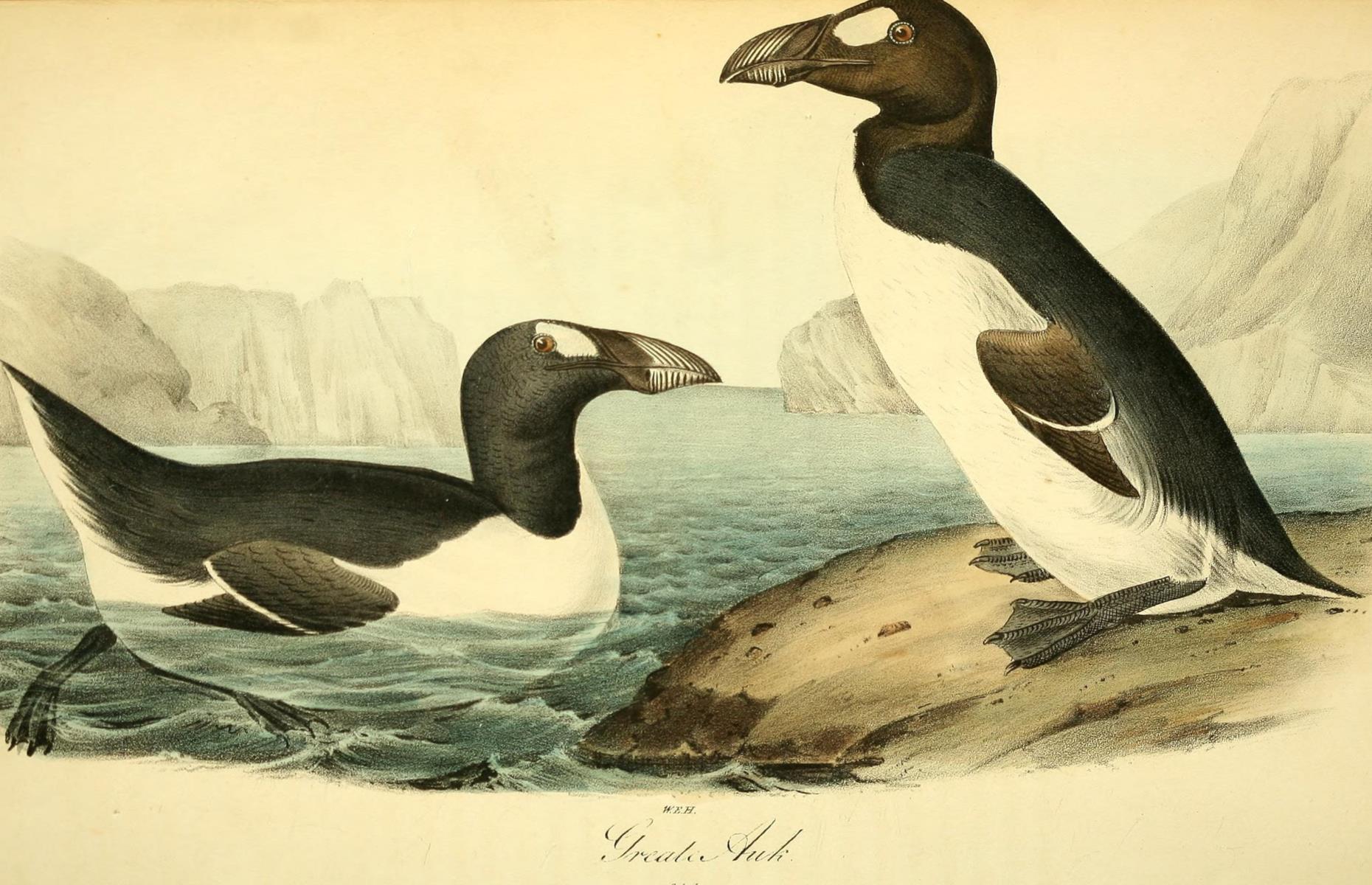 40 incredible extinct creatures that once ruled our planet