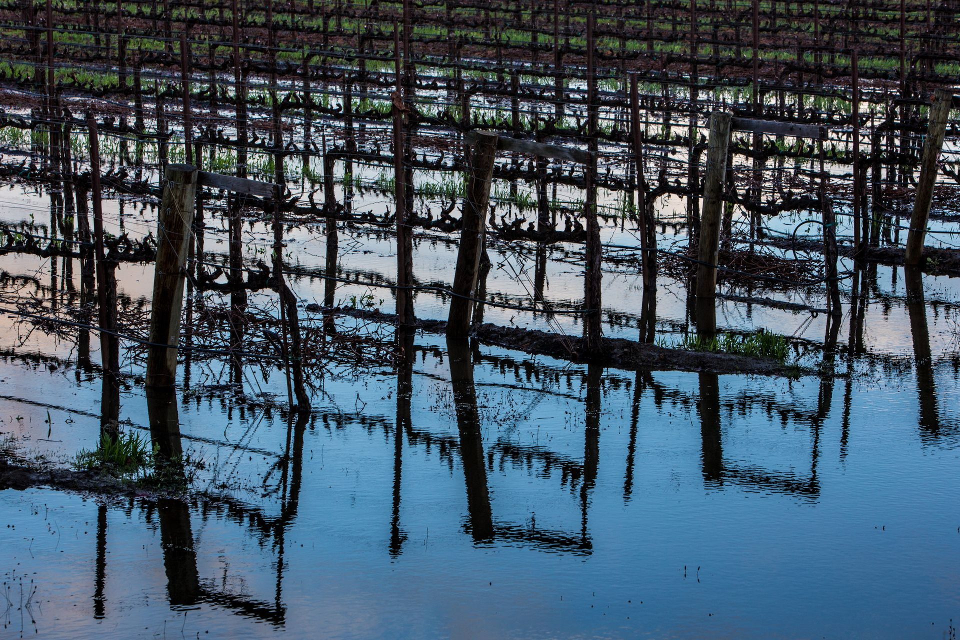Rising seas are slowly wiping these places off the map