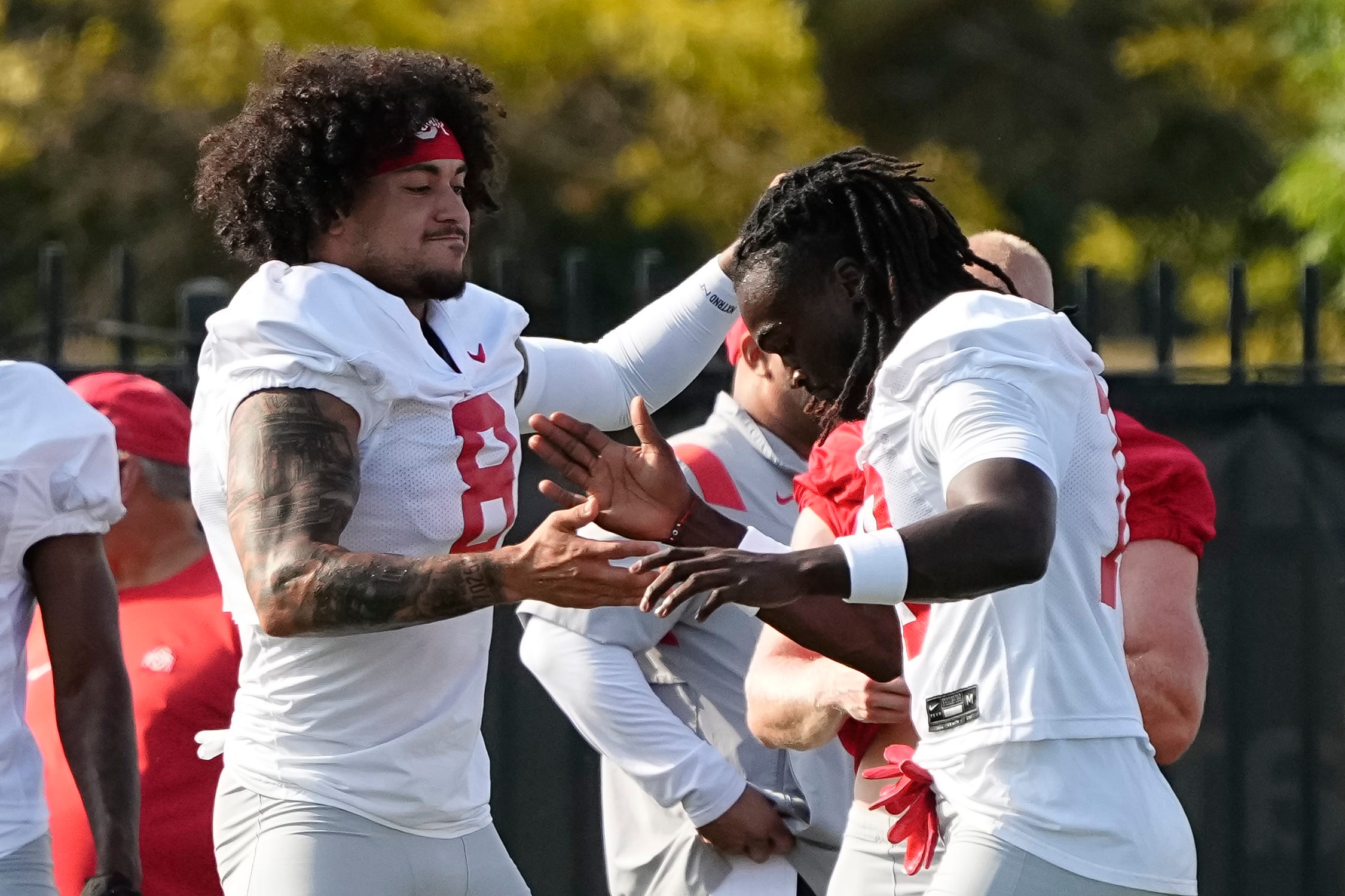 Ohio State football safety Lathan Ransom: 3 things you need to know