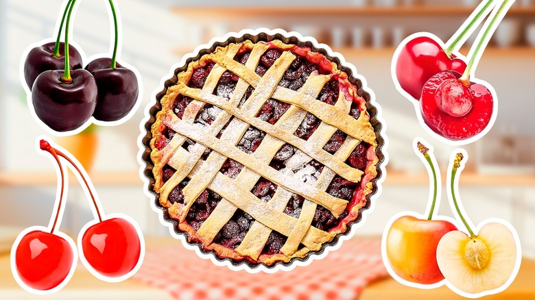 The Absolute Best Cherry Varieties For Baking