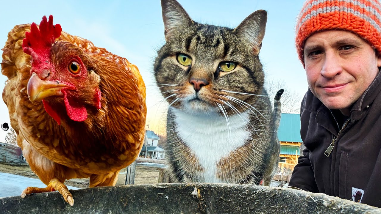 Farm choring is never boring: Life on the farm