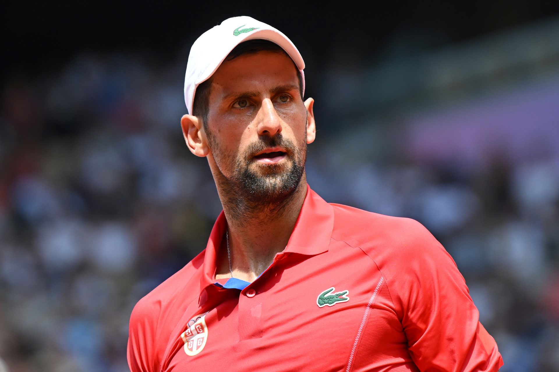 Dez curiosidades sobre Novak Djokovic que você talvez não conheça Dez curiosidades sobre Novak Djokovic que você talvez não conheça