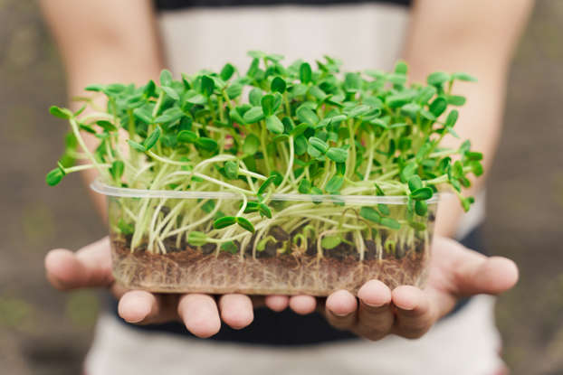 Foods you should never eat raw Foods you should never eat raw