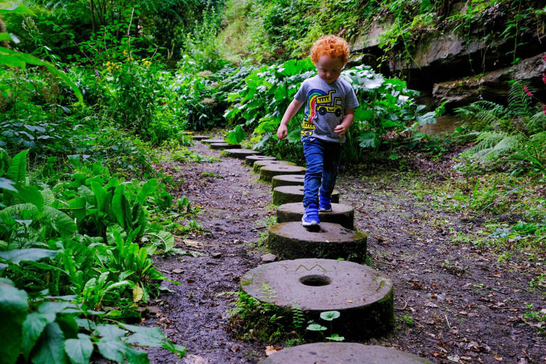 12 beautiful sights to see across Sheffield this summer including ...