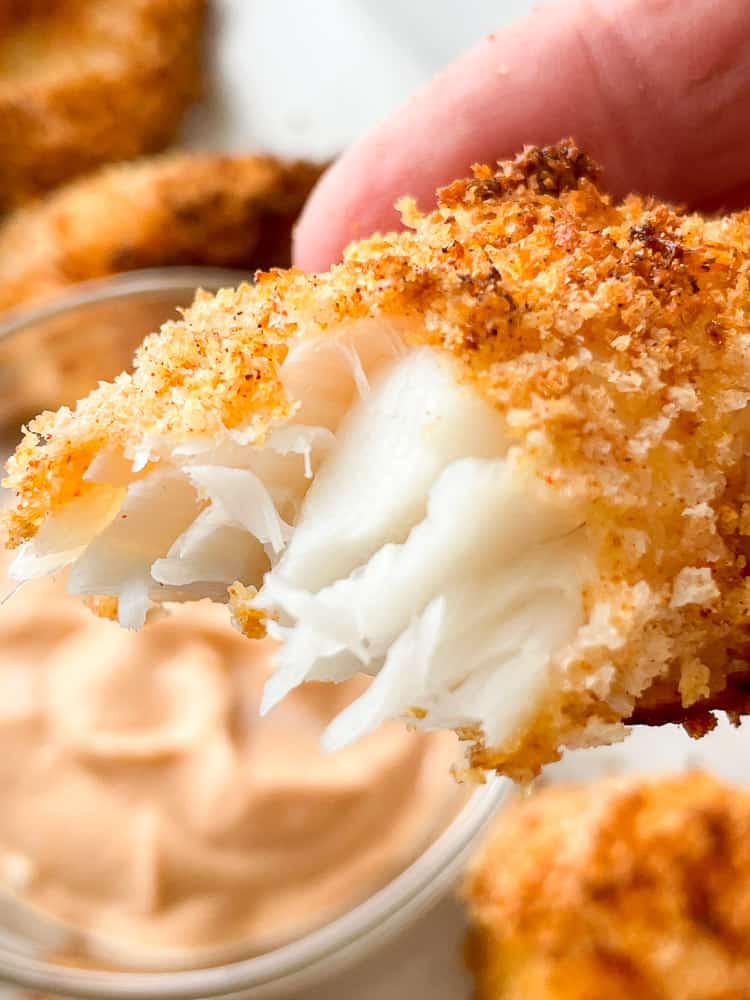 Catch of the Day Recipes You’ll Be Glad You Reeled In