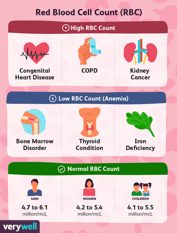 Red Blood Cell (RBC) Test: High vs. Low, Normal Ranges
