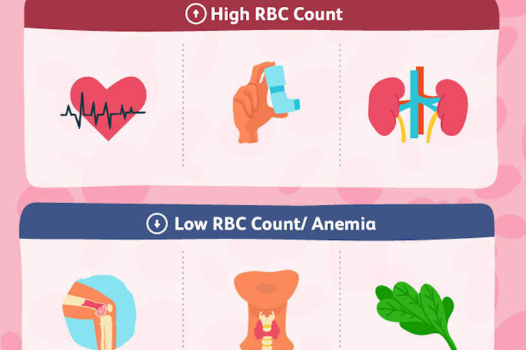 Red Blood Cell (RBC) Test: High vs. Low, Normal Ranges