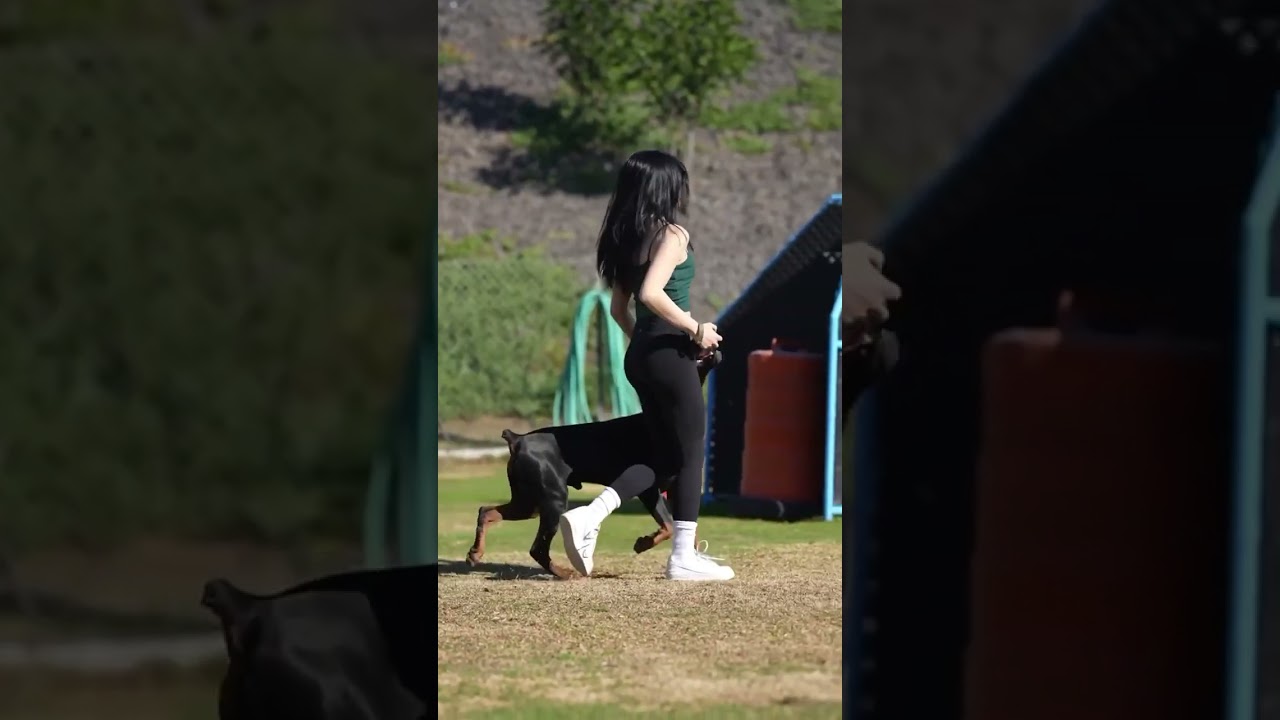 "It's Never Luck, Training Dogs is Hard Work"