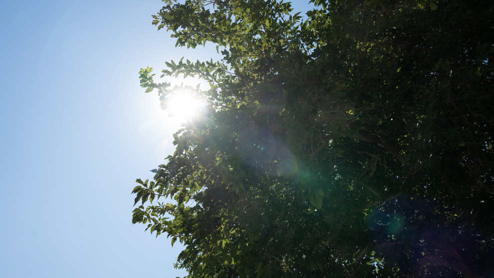 Extreme heat can worsen antidepressant side effects, raising risk of ...