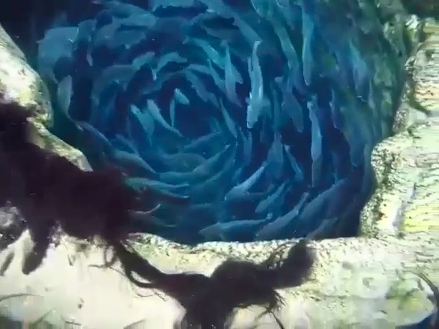 23 Unsettling Photos of the Deep Blue Sea