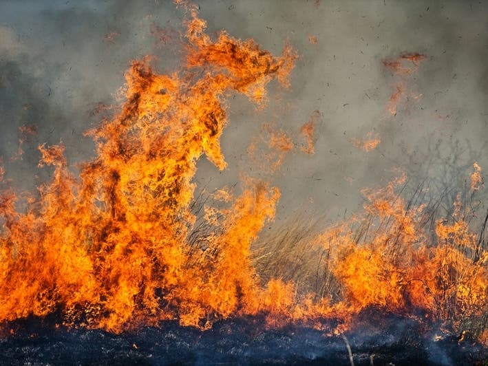 Acton's Lidia Fire Blackens 50 Acres, Threatens Buildings