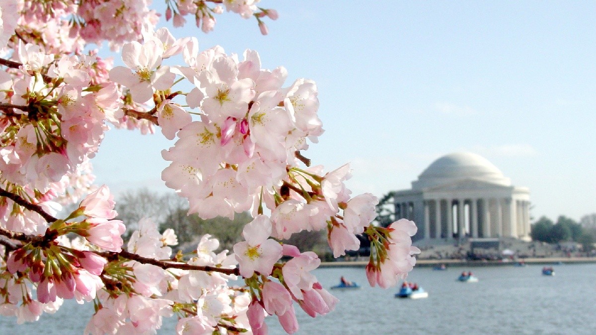 Washington will have an exclusive holiday this 2025