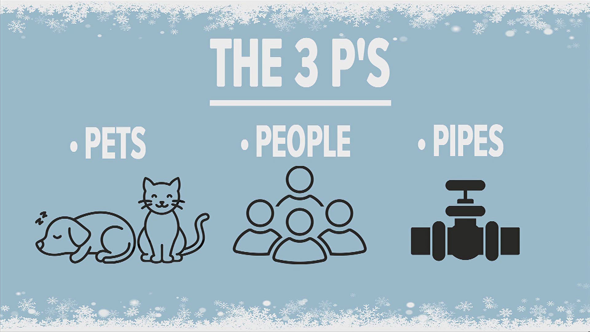 The 3 Ps: People, pets and pipes