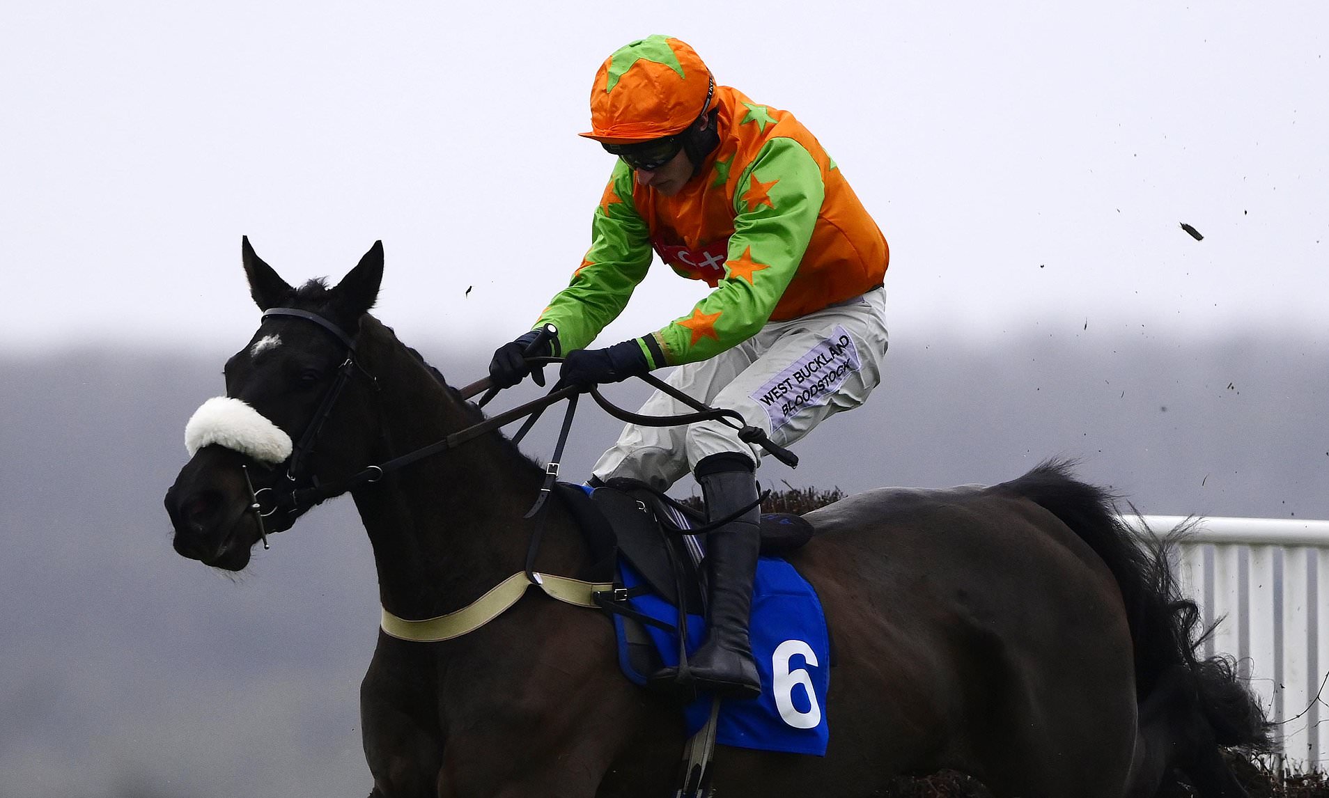 Robin Goodfellow's racing tips: Best bets for Thursday, January 9
