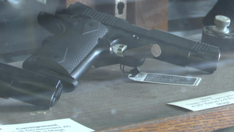 Lewis County is streamlining its pistol-buying process