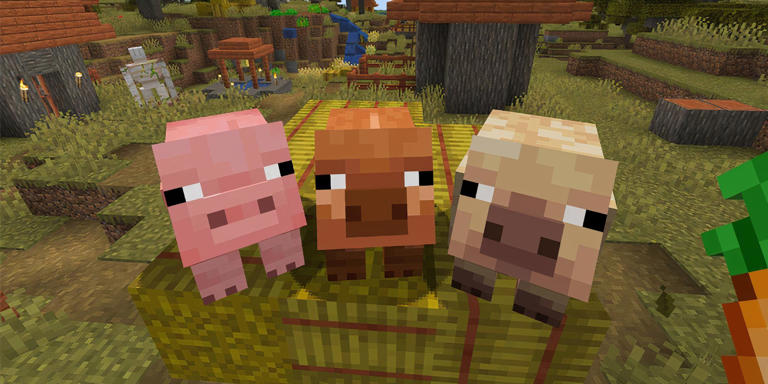Minecraft Snapshot 25w02a Adds Pig Variants, Wildflowers, And More Minecraft Snapshot 25w02a Adds Pig Variants, Wildflowers, And More
