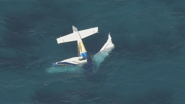 Pilot's act 'critical factor' in couple's survival in fatal seaplane crash