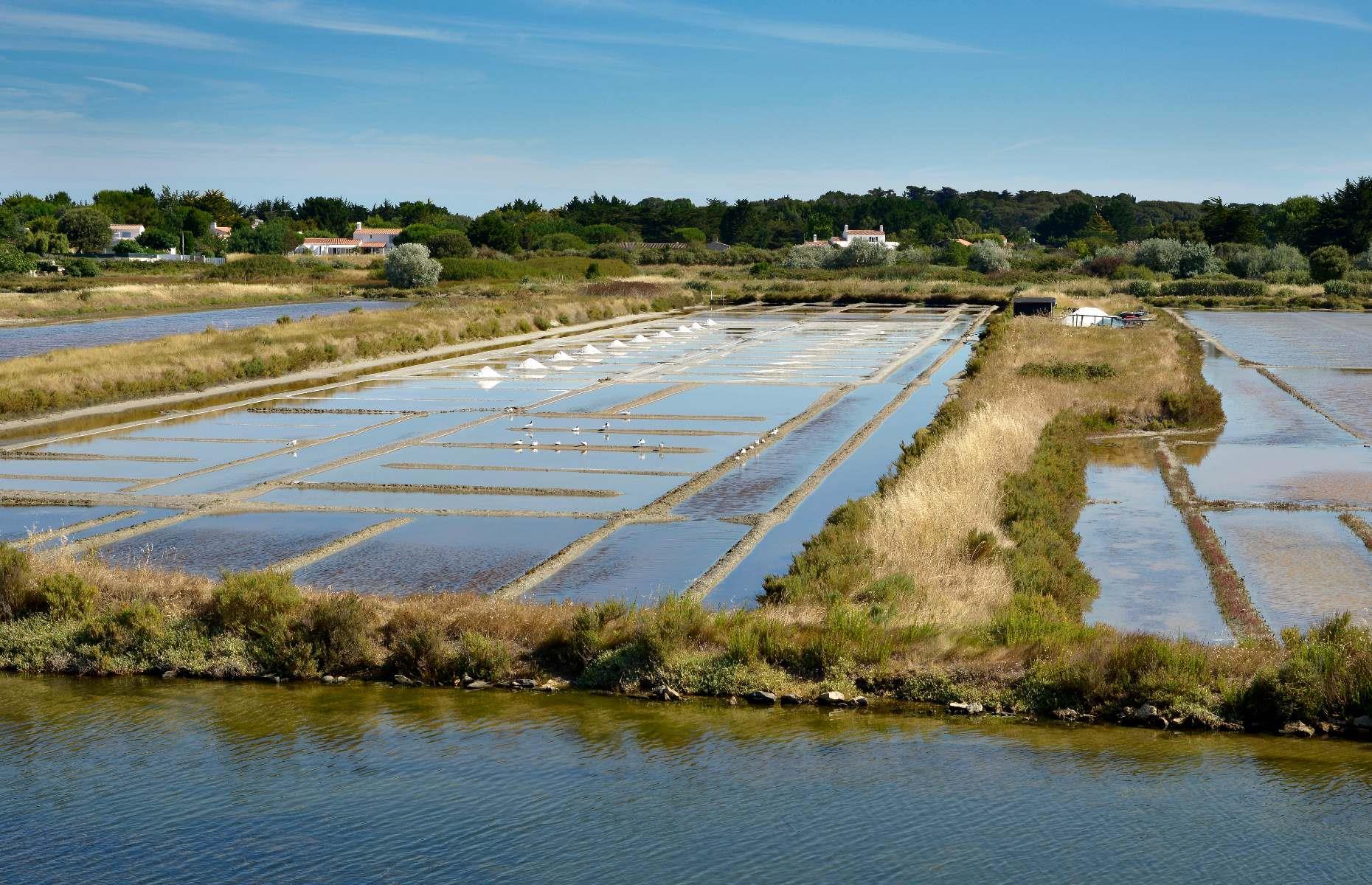 La France et d'autres régions du monde menacées par l'eau d'ici 2050