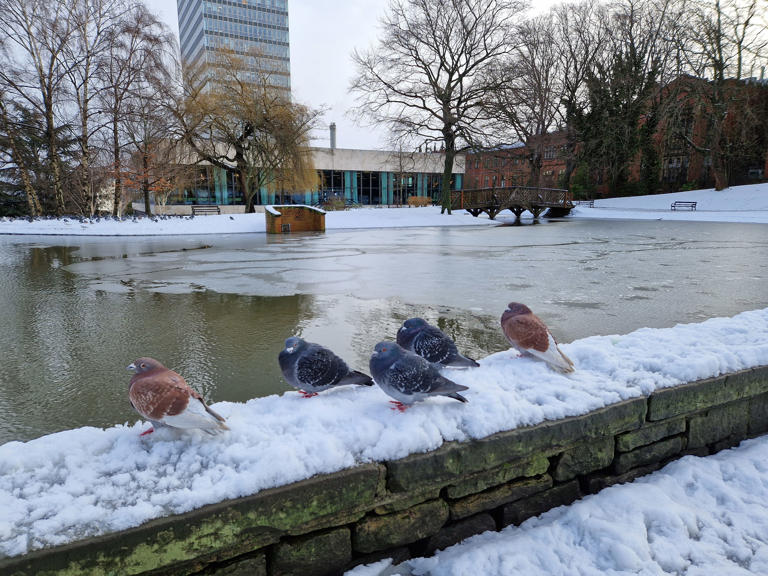 Sheffield snow: Thursday's Sheffield weather forecast and when snow ...