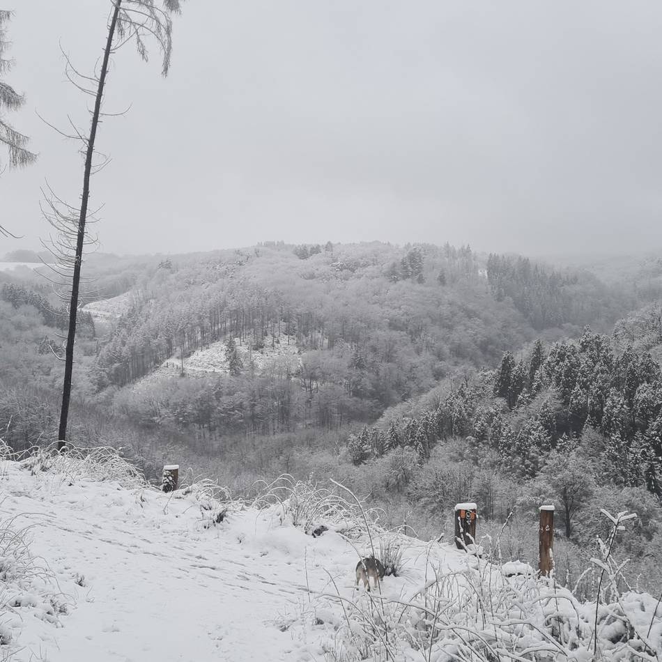Nach dem Schnee kommt die Kälte in NRW