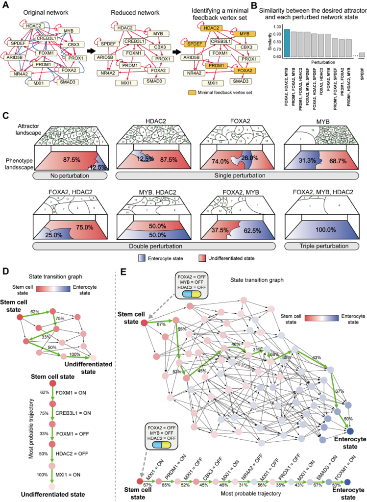 Is Cancer Reversible? New Treatment May Transform Cancer Cells into ...