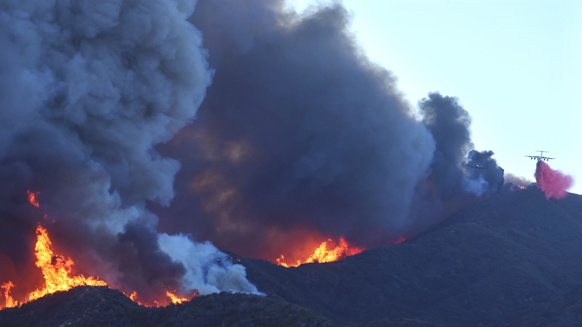 12 Colossal Prehistoric Beasts That Predate Dinosaurs