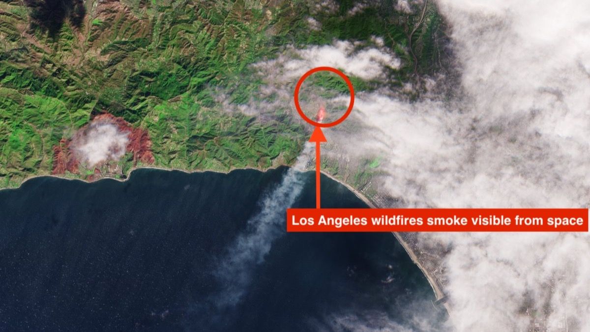 Los Angeles Wildfires Now Visible From Space, ESA Shares Photo Showing ...