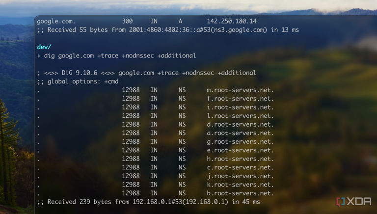 Choose the best alternate DNS service
