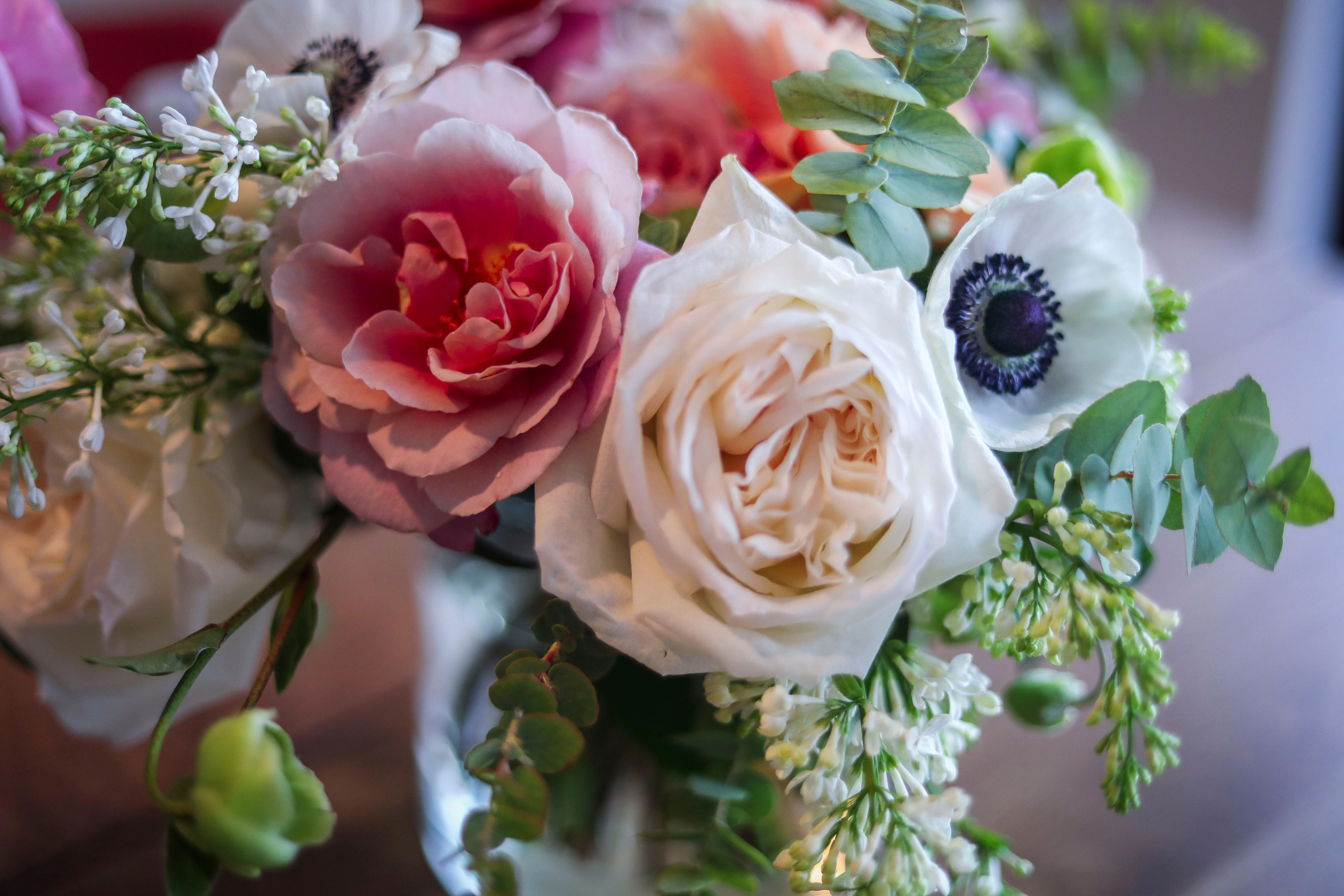 Planning a wedding? 4 shows to check out in the Louisville area in 2026