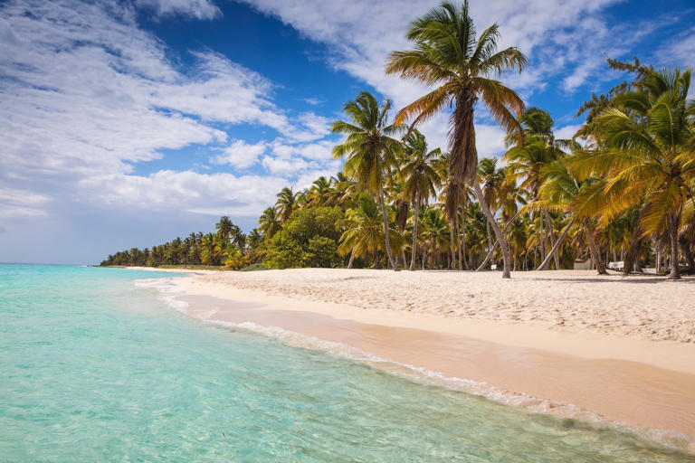 The 5 most beautiful beaches in the Dominican Republic for an ...