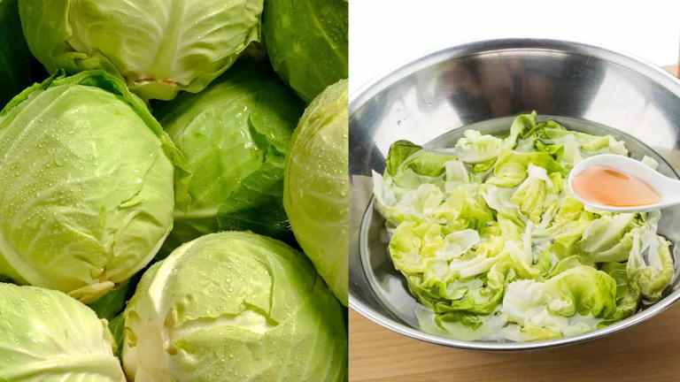 What is the right way to preserve cabbage?